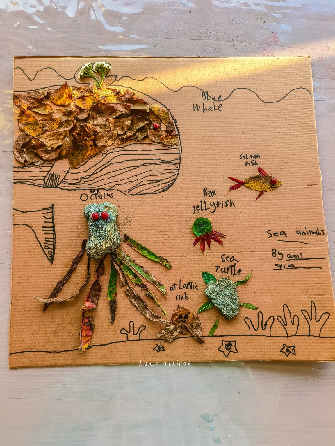 Nature Art Project - Home School Hanis